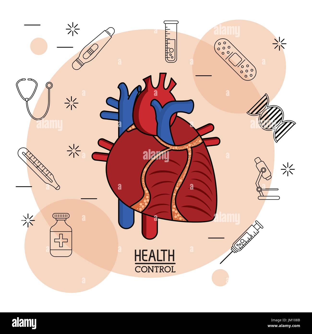 Cardiovascular System Illustration High Resolution Stock Photography ...