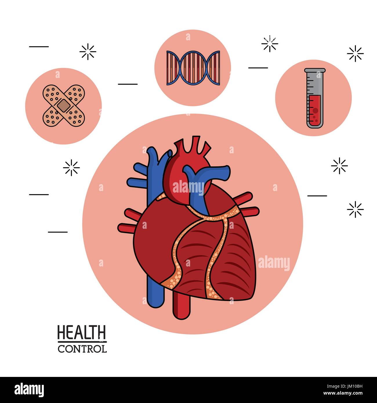 colorful Poster in white background with human heart system in closeup ...