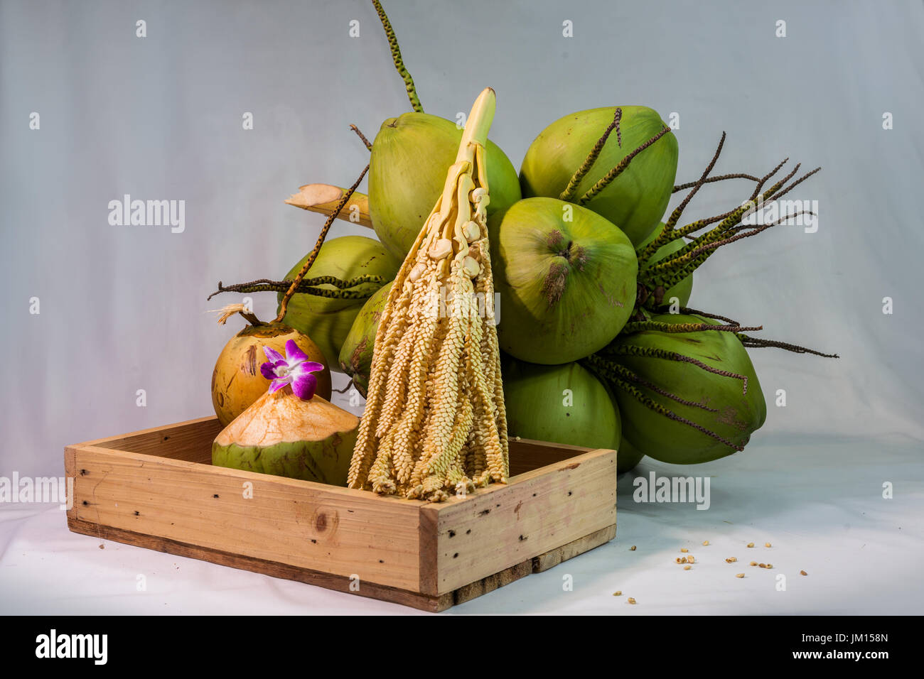 green coconut bunch on whire background Stock Photo - Alamy