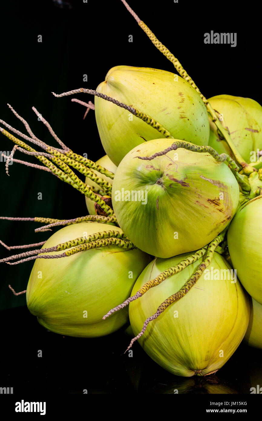 green coconut bunch on black background Stock Photo - Alamy