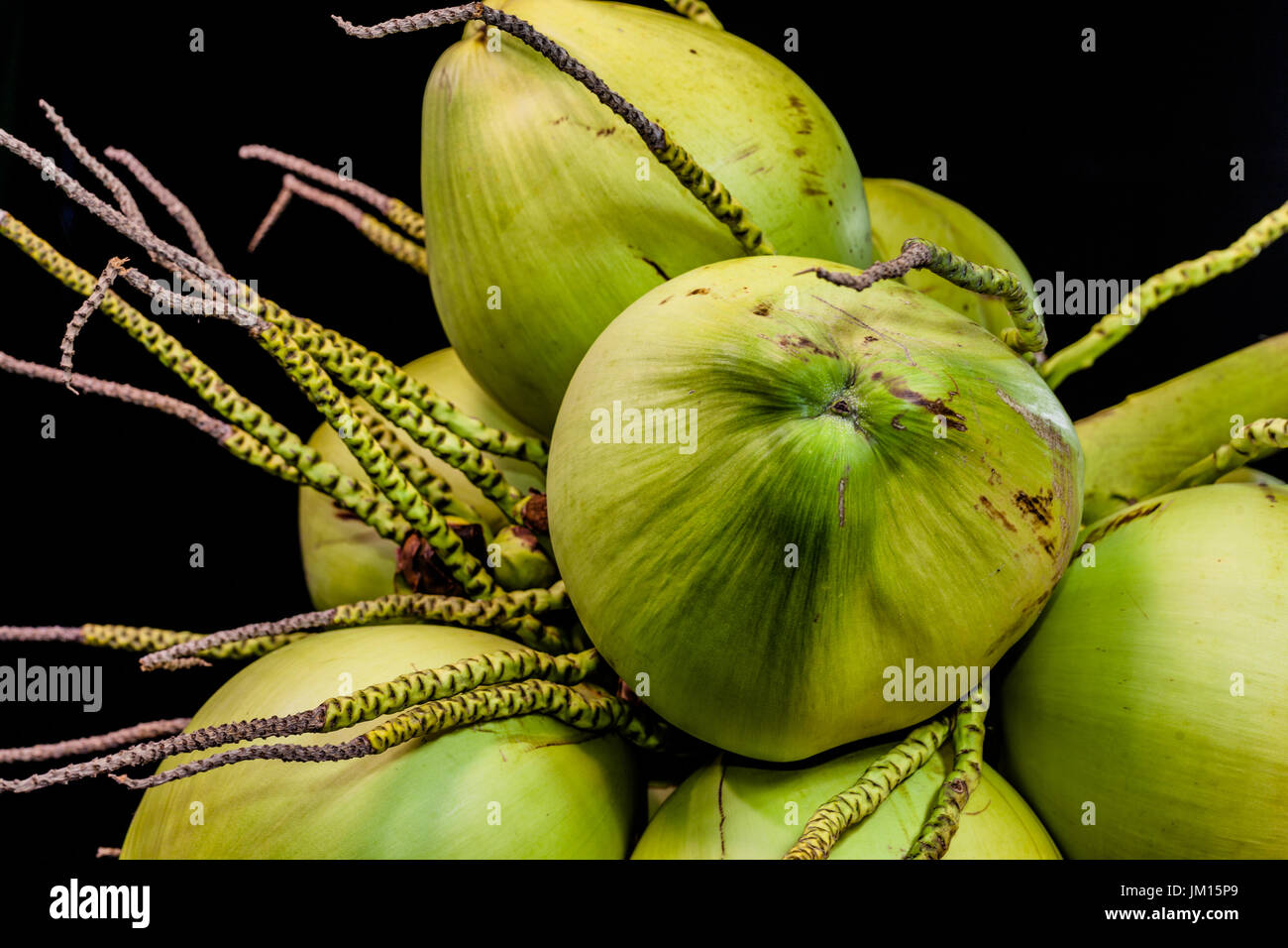 green coconut bunch on black background Stock Photo - Alamy