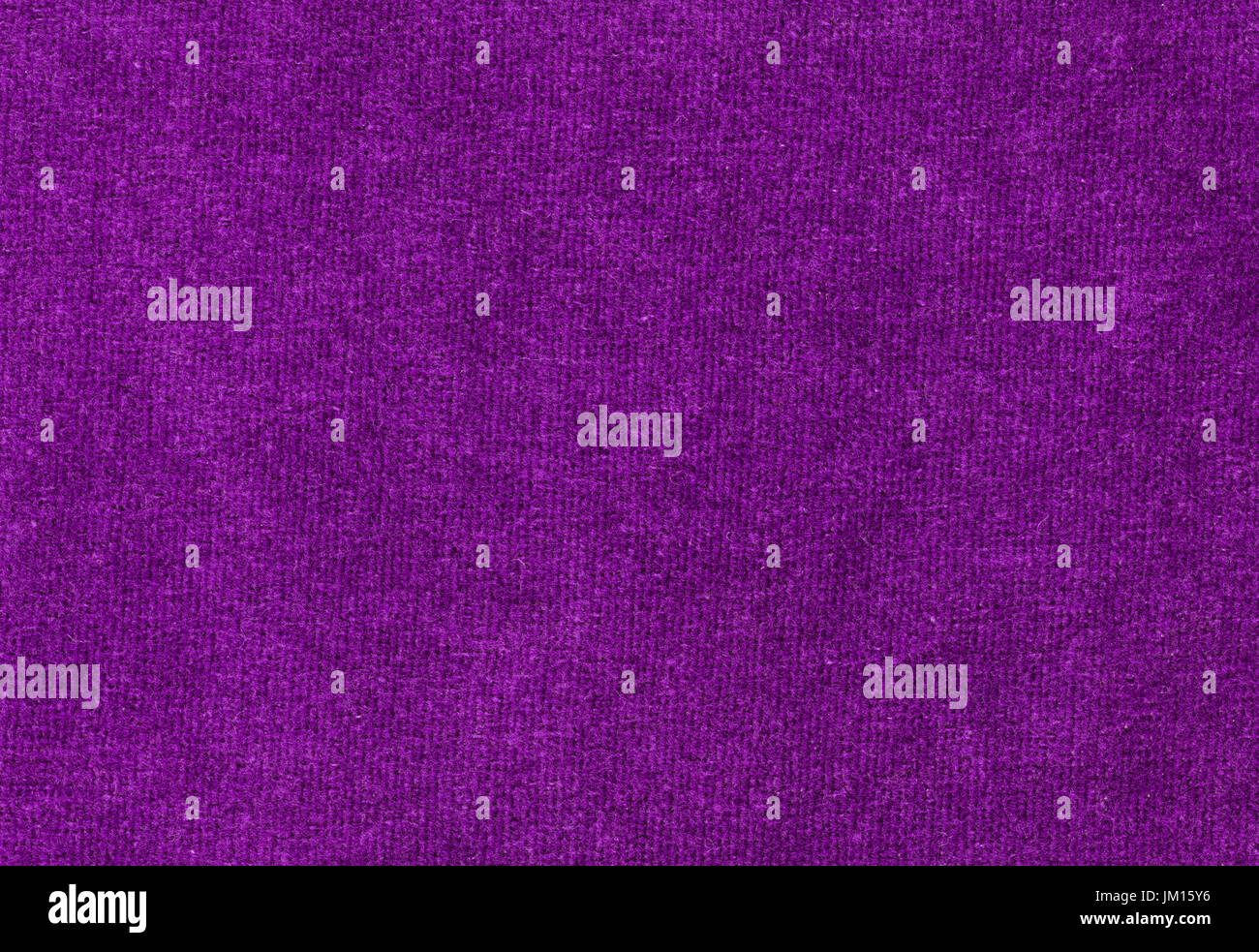 velour or velvet fabric background, texture. Purple color, high ...