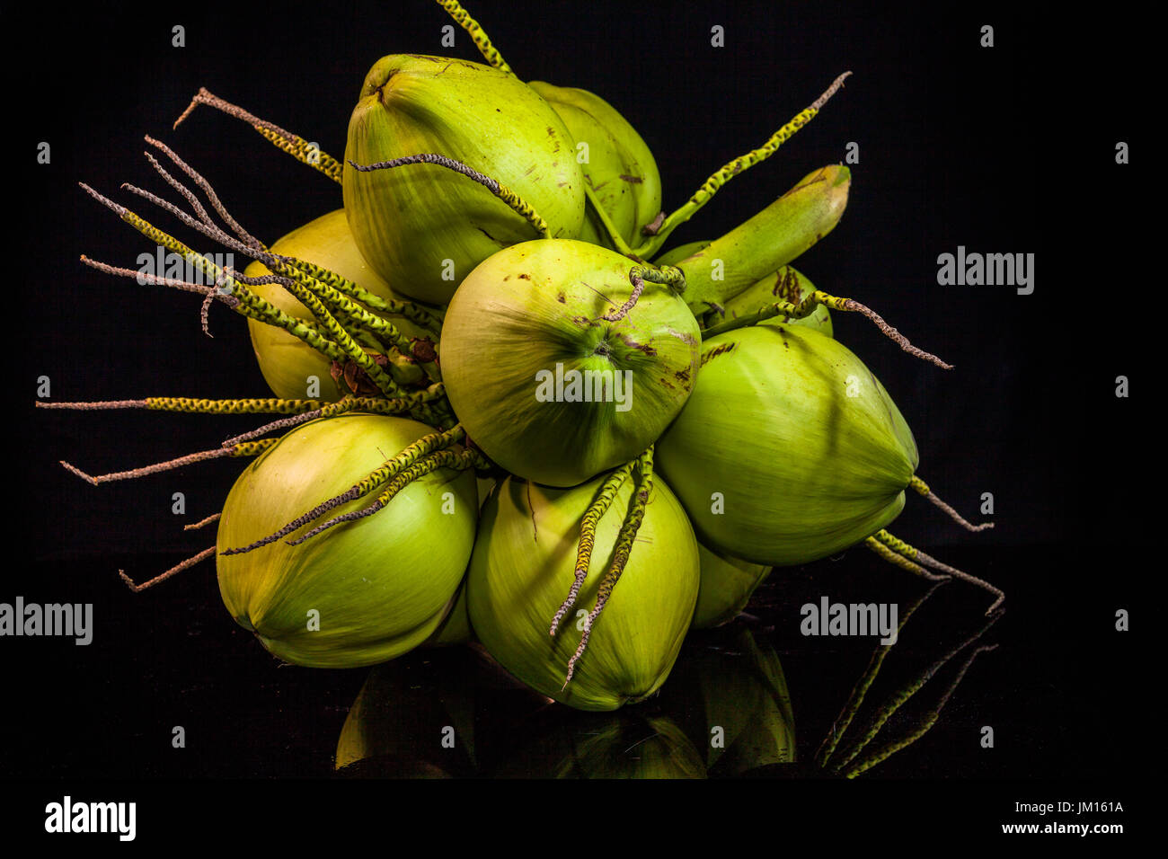 green coconut bunch on black background Stock Photo - Alamy