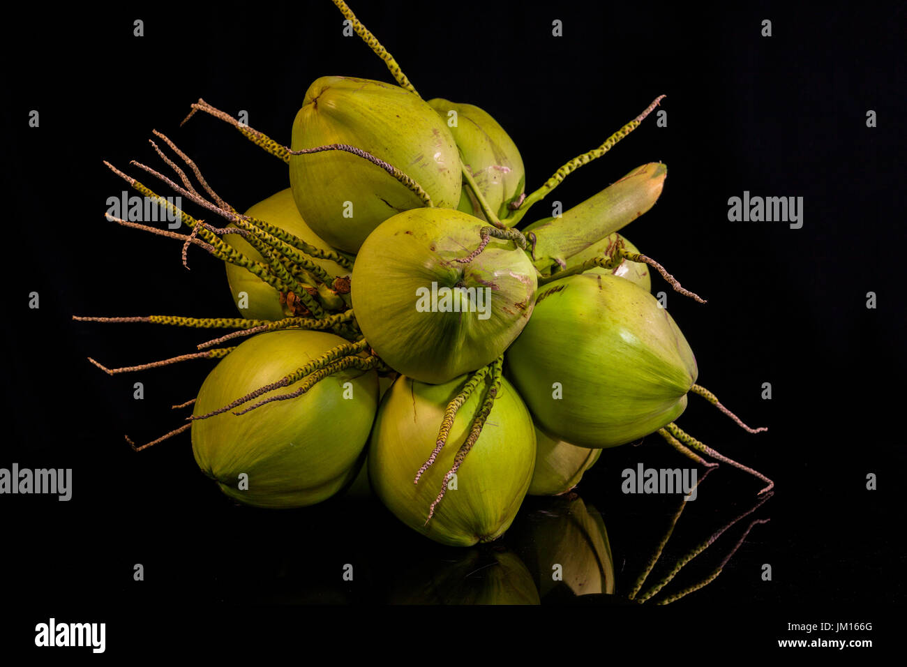 green coconut bunch on black background Stock Photo - Alamy
