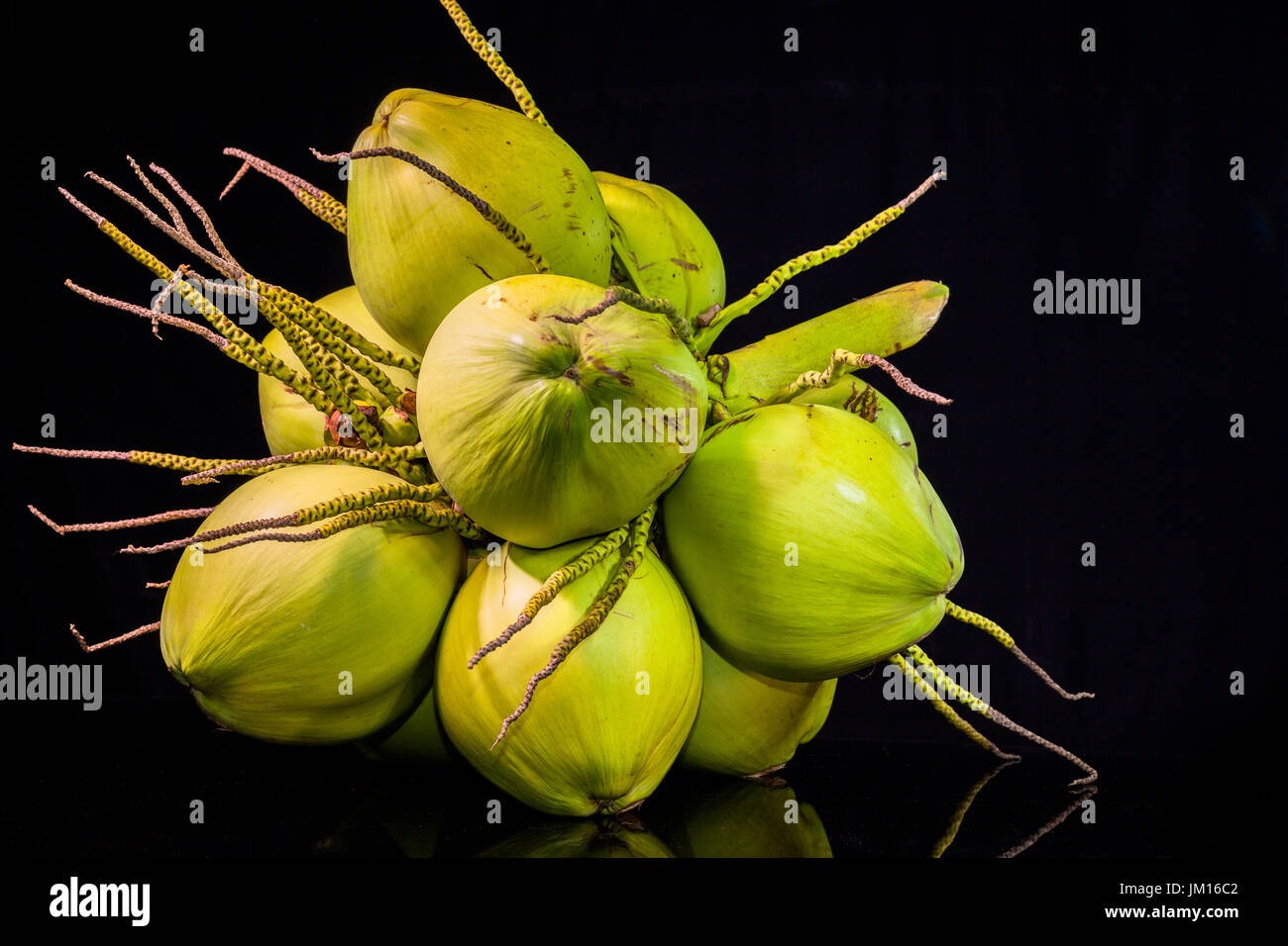 green coconut bunch on black background Stock Photo - Alamy