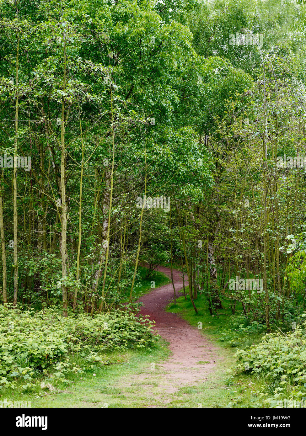 Winding footpath hi-res stock photography and images - Alamy