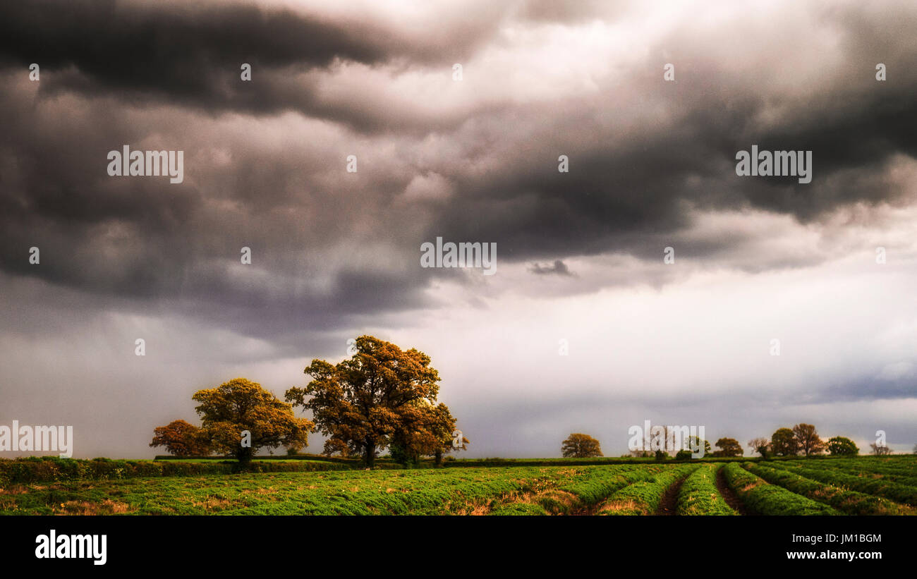 Angry sky hi-res stock photography and images - Alamy