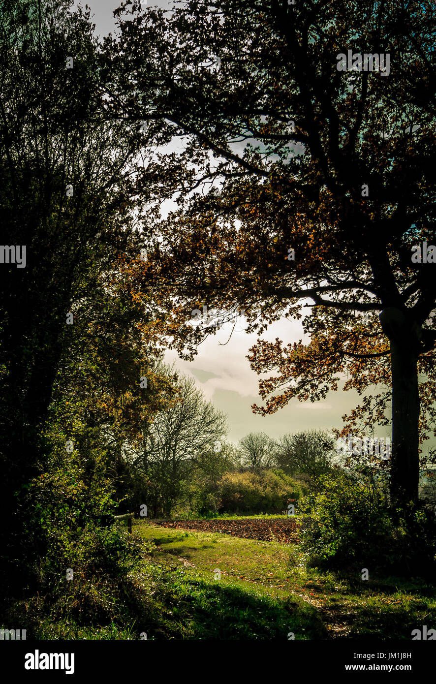 Flora farms hi-res stock photography and images - Alamy