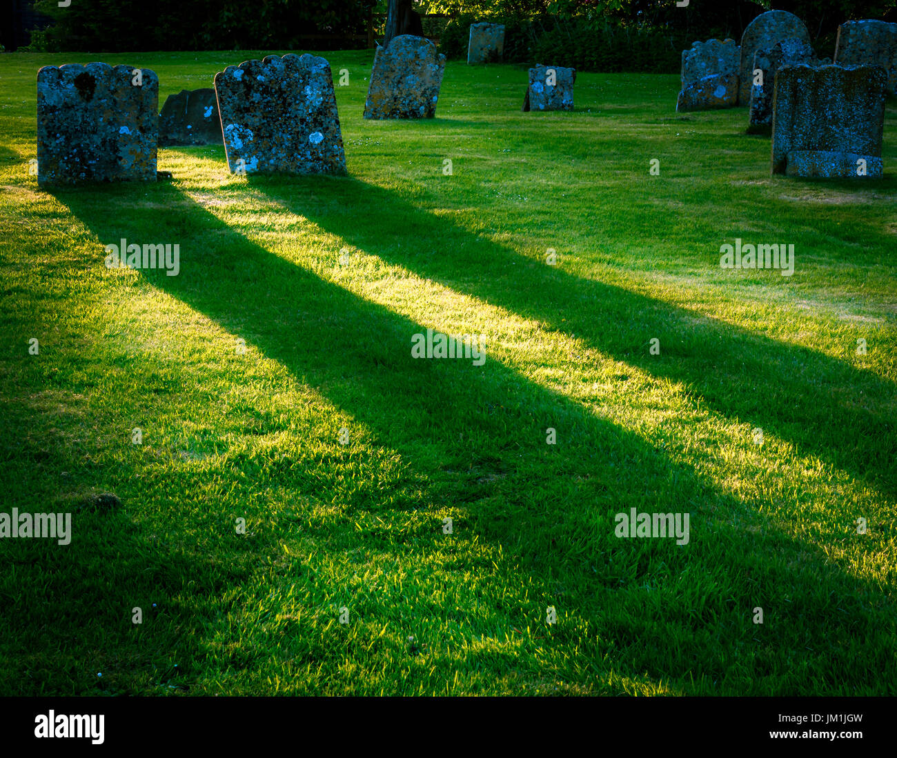 Long shadows in the cemetery Stock Photo - Alamy