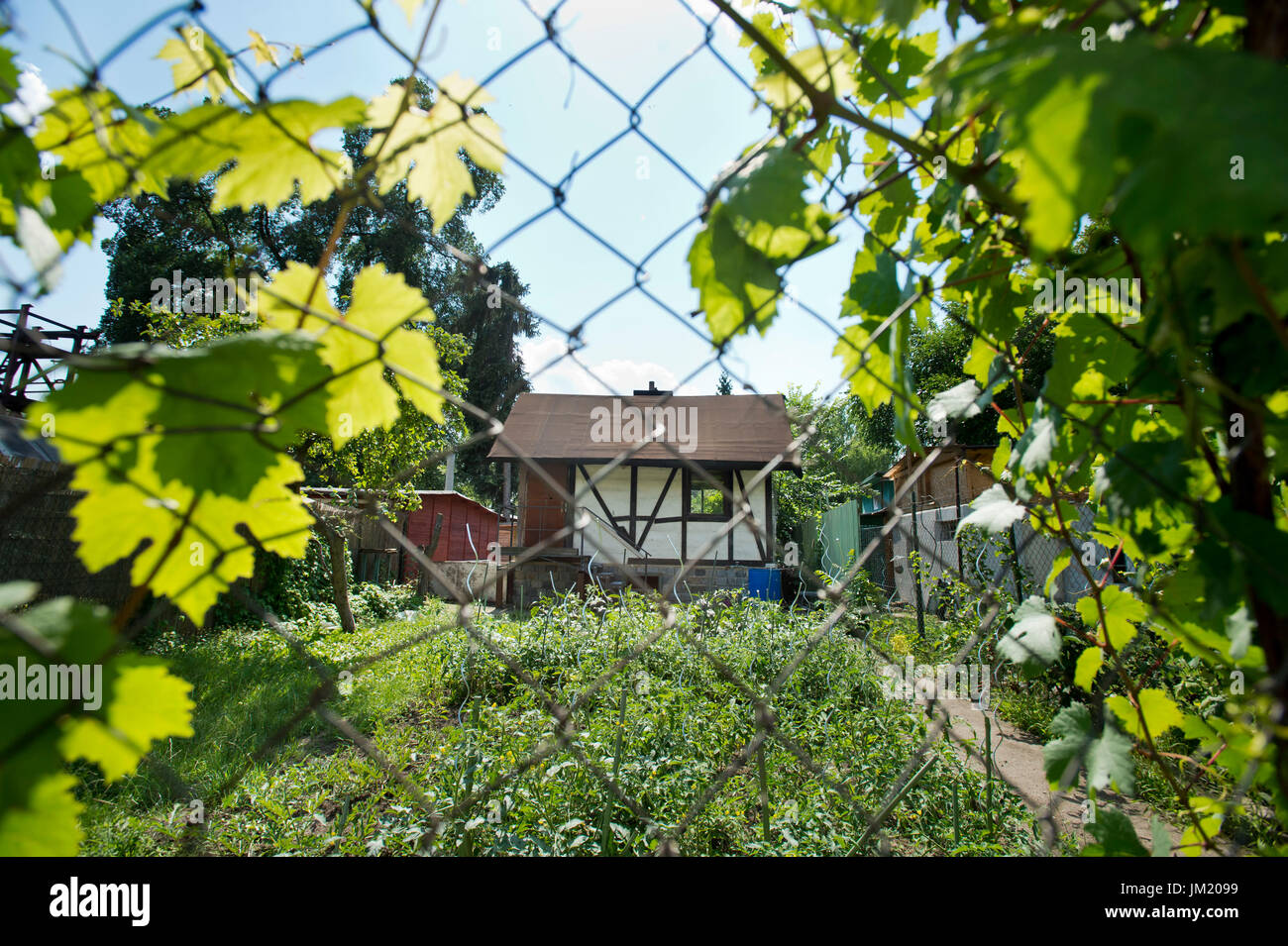 Prague, Czech Republic. 21st July, 2017. Gardening colony in Libensky ...