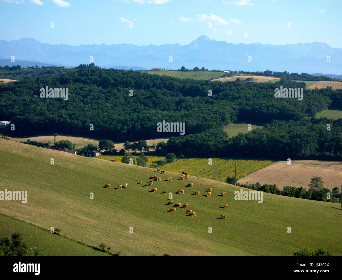 French countryside in Midi-Pyrenees region, with Pyrenees in background ...