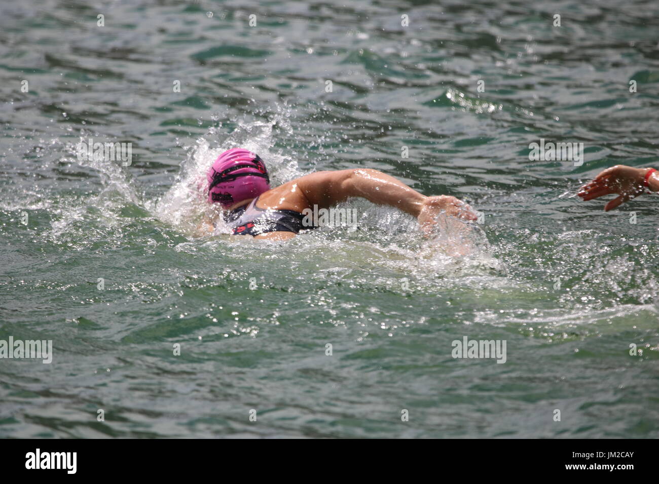 rear view of a female swimmer doing front crawl in the London Triathlon ...