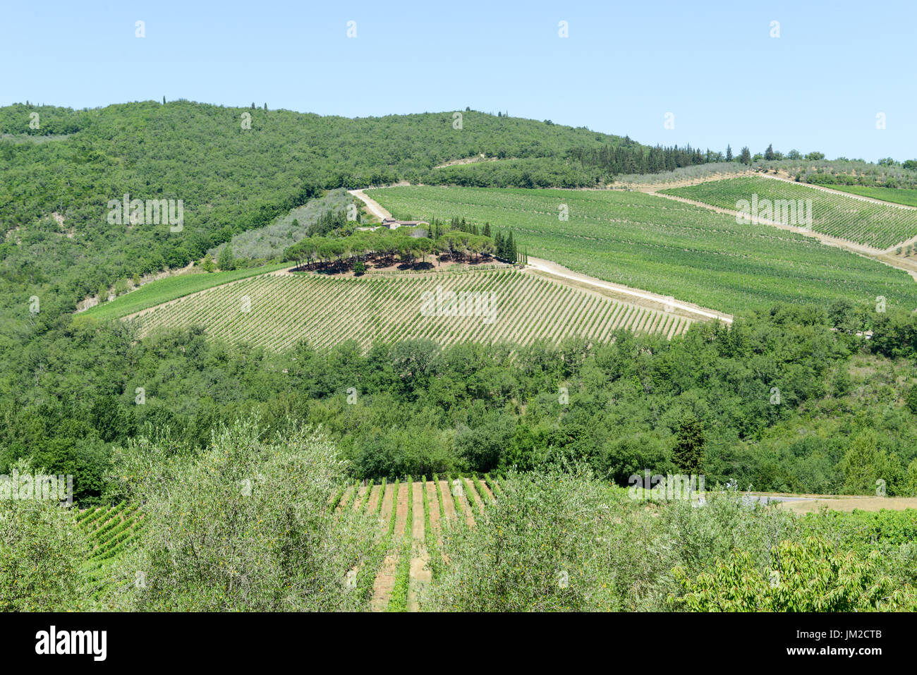 Rural landscape of Chianti vineyards on Tuscany in Italy Stock Photo ...