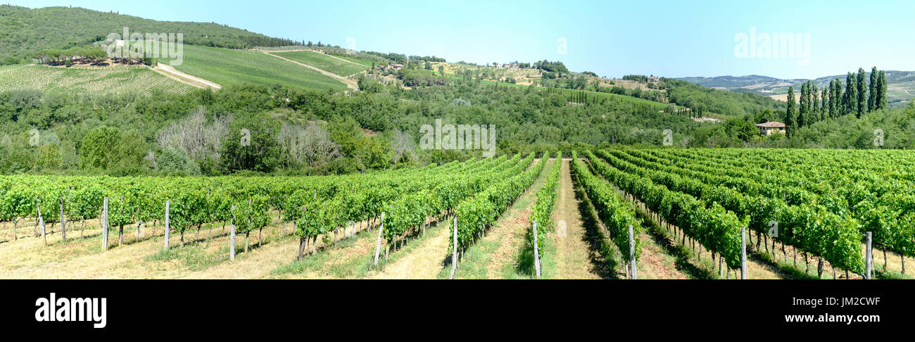 Rural landscape of Chianti vineyards on Tuscany in Italy Stock Photo ...