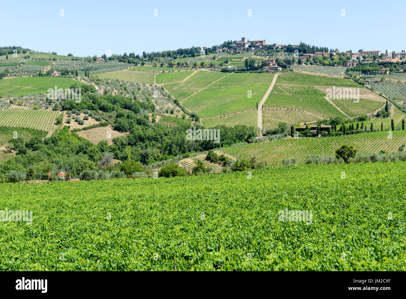 Rural landscape of Chianti vineyards on Tuscany in Italy Stock Photo ...