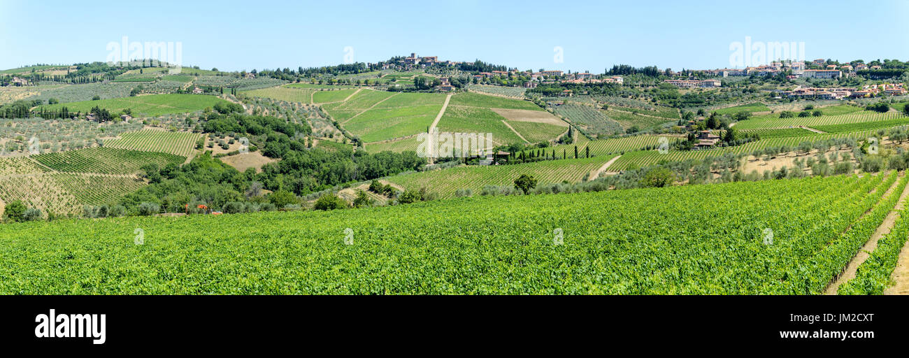 Rural landscape of Chianti vineyards on Tuscany in Italy Stock Photo ...