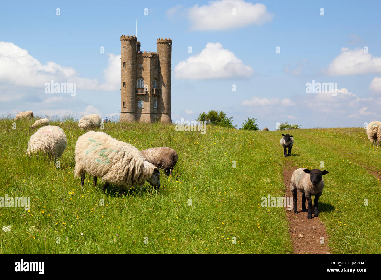 Broadway Tower and sheep, Broadway, Cotswolds, Worcestershire, England ...