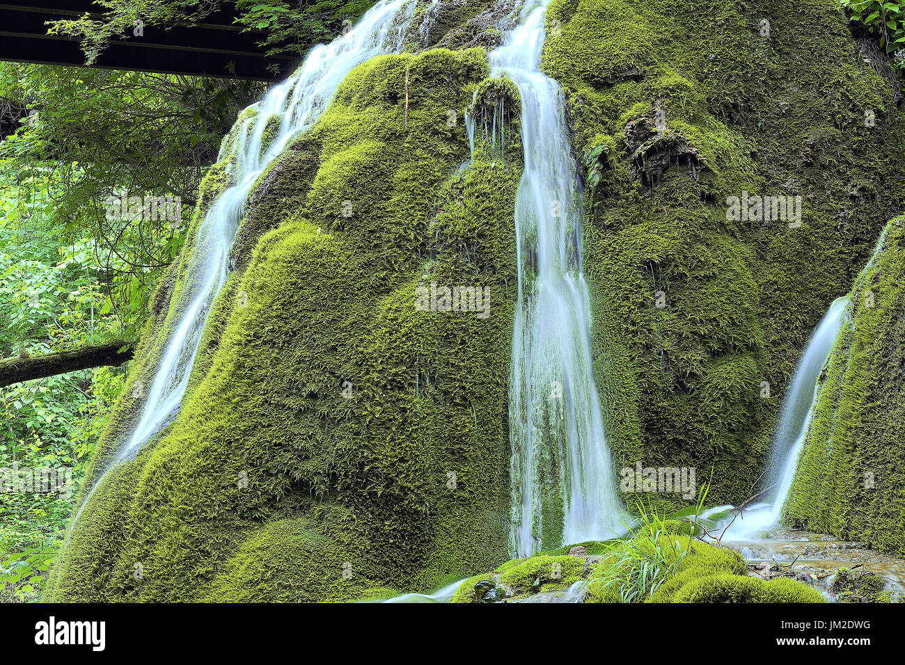 beautiful cascade on mossy rock, Bigar waterfall detail Stock Photo - Alamy