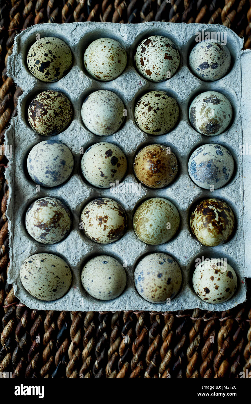 Quail eggs, photographed in a simple rustic style. Simple protein-rich ...