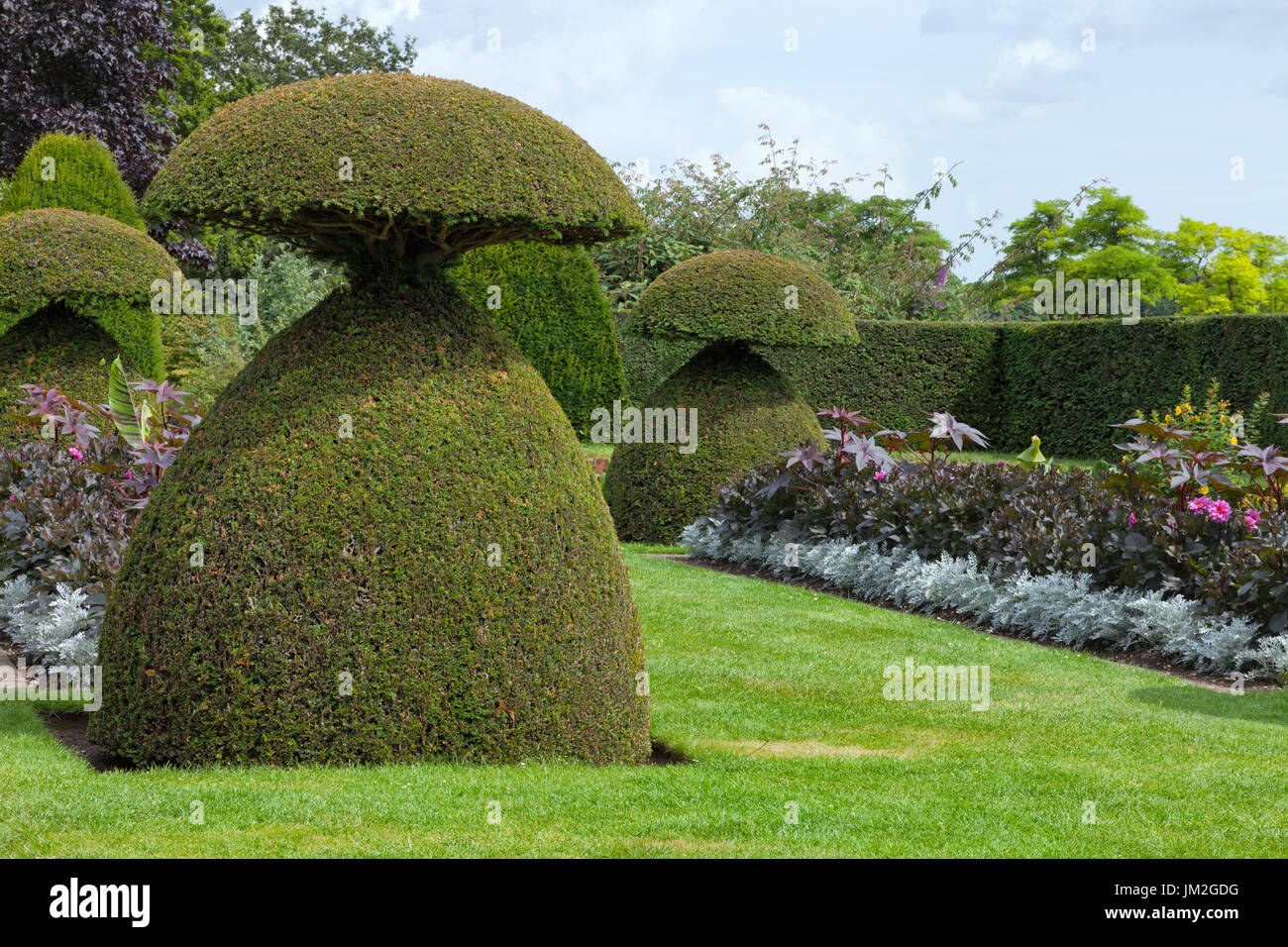 Topiary hedge yew lawn hi-res stock photography and images - Alamy