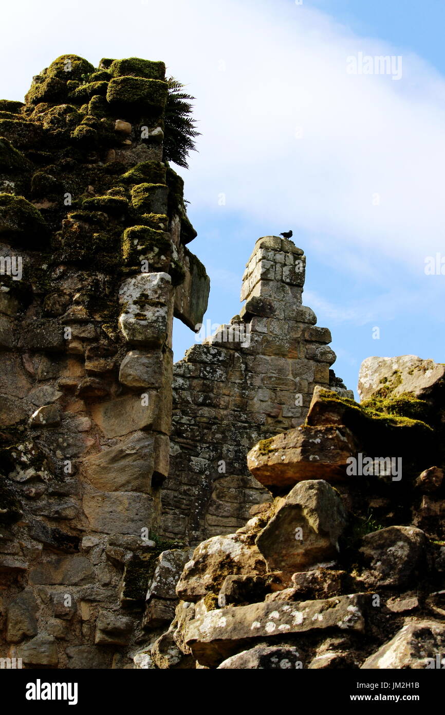 The crow stone hi-res stock photography and images - Alamy