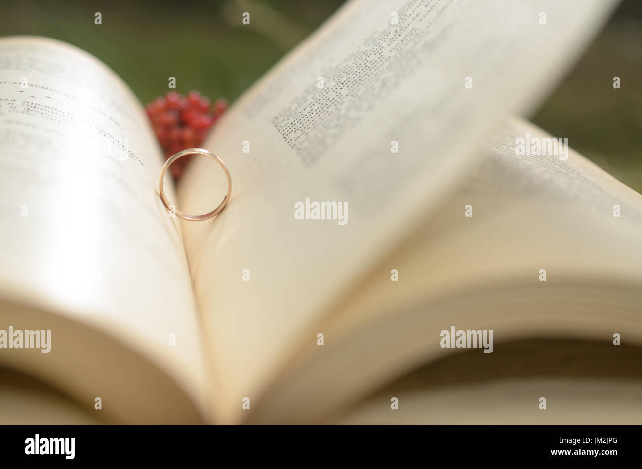 An open book with an engagement ring as a symbol of love Stock Photo ...