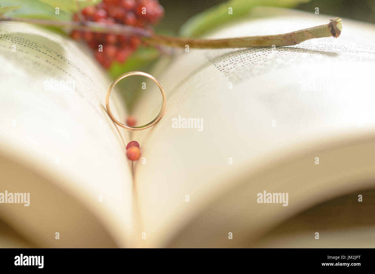 An open book with an engagement ring as a symbol of love Stock Photo ...