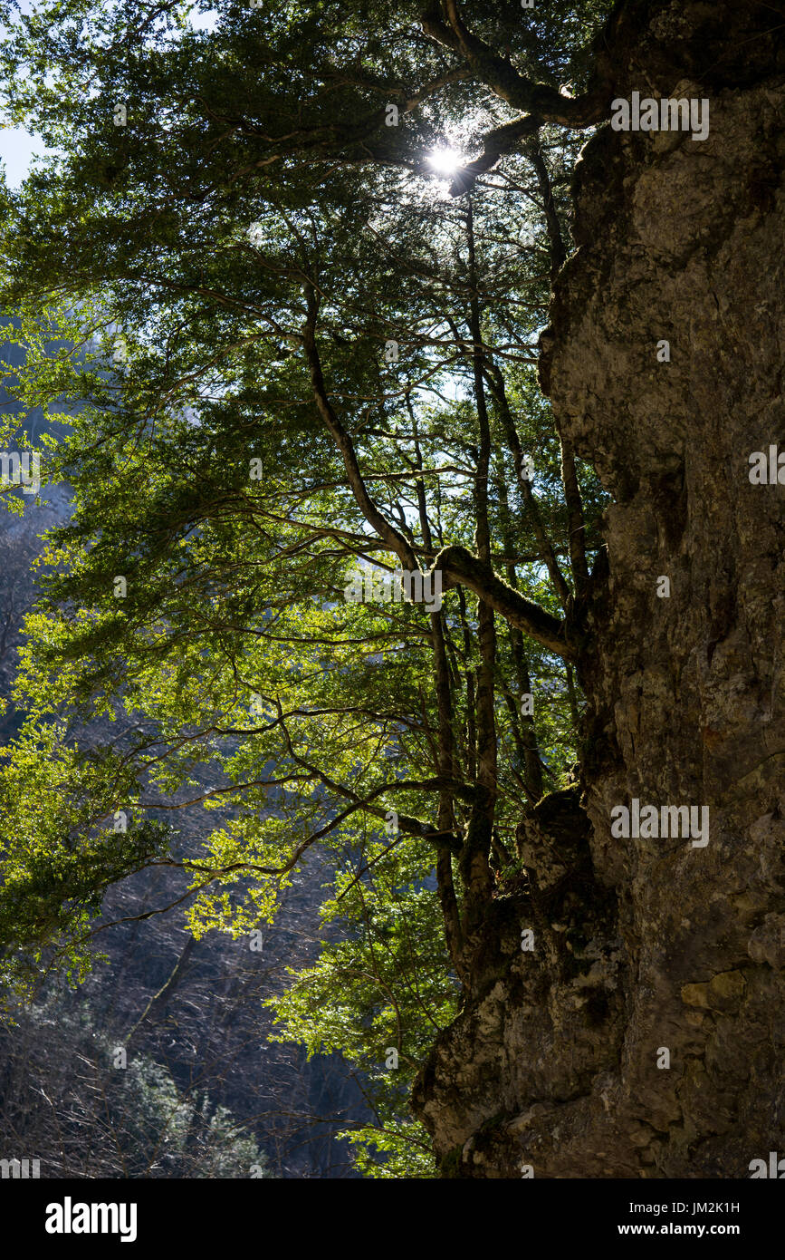 Beautiful mountain scenery . Guam gorge. Krasnodar region Stock Photo ...