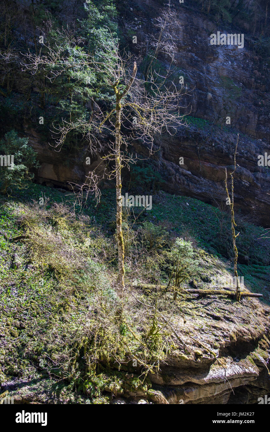 Guam gorge hi-res stock photography and images - Alamy