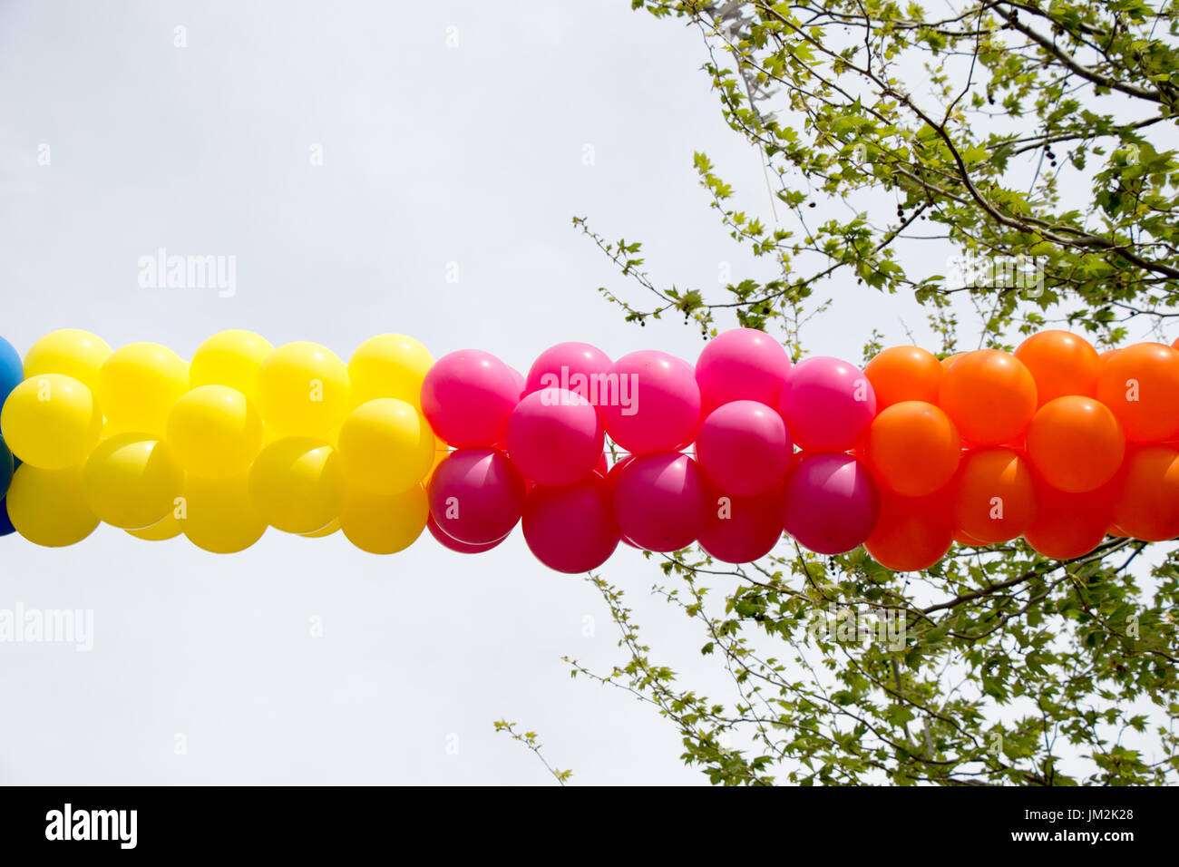 Colorful balloons in air between trees Stock Photo - Alamy