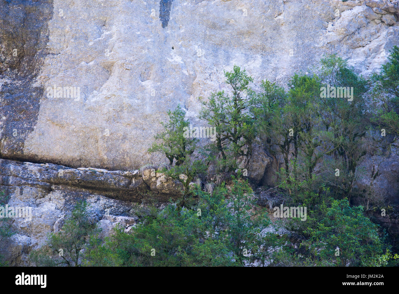 Beautiful mountain scenery . Guam gorge. Krasnodar region Stock Photo ...