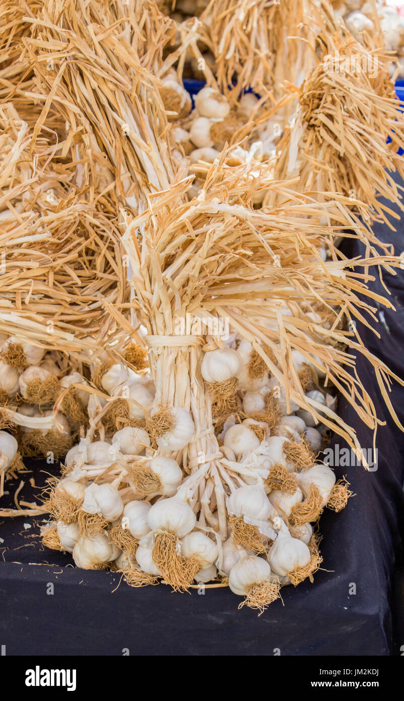 Bunch of garlic bulbs at the market place Stock Photo - Alamy
