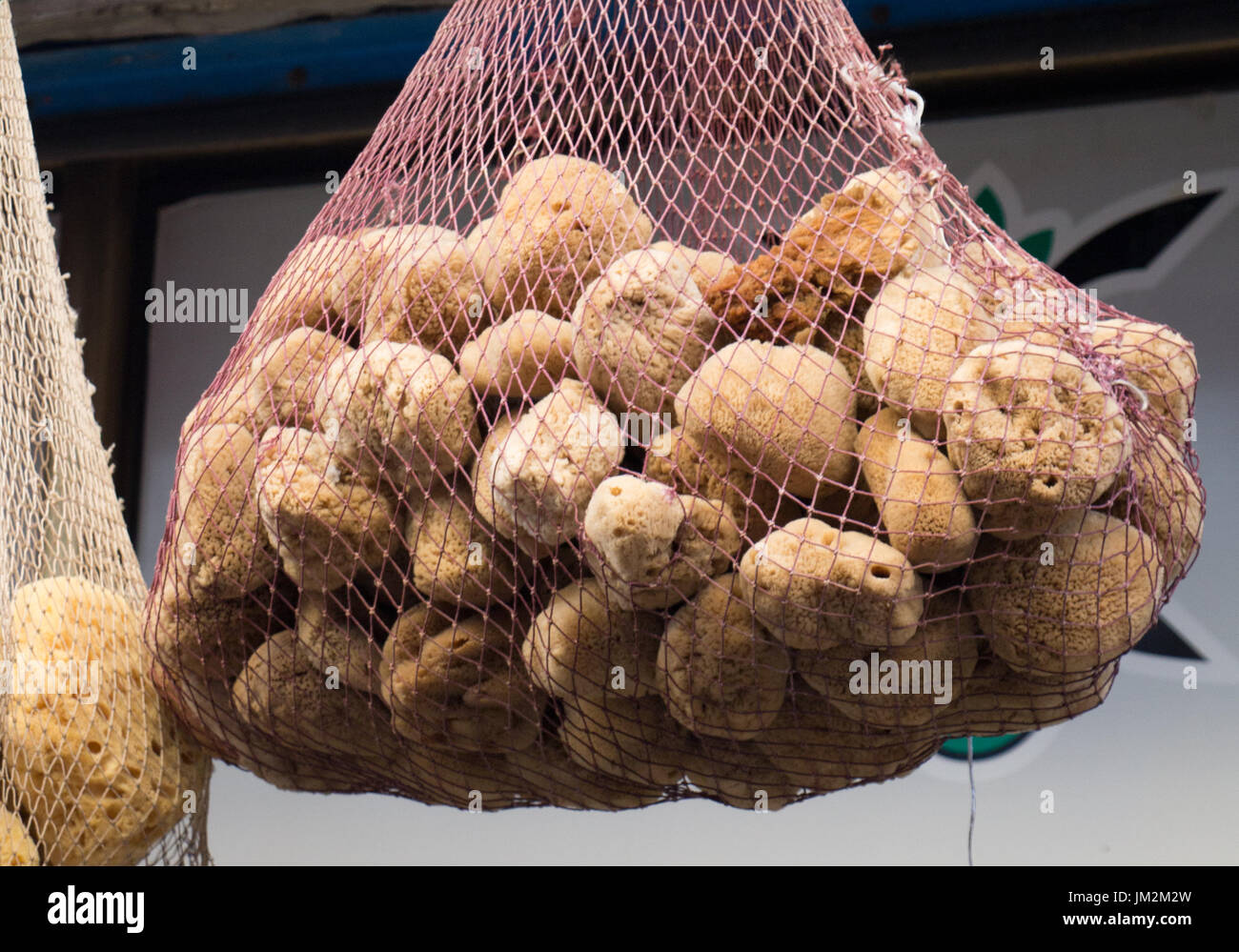 Collection of sea sponges hanging on a market stall Stock Photo - Alamy