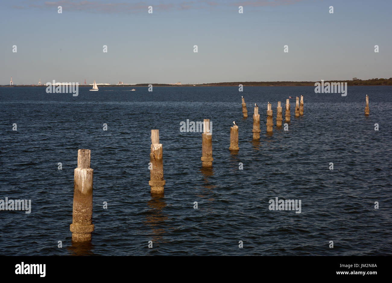 Shark proof swimming hi-res stock photography and images - Alamy