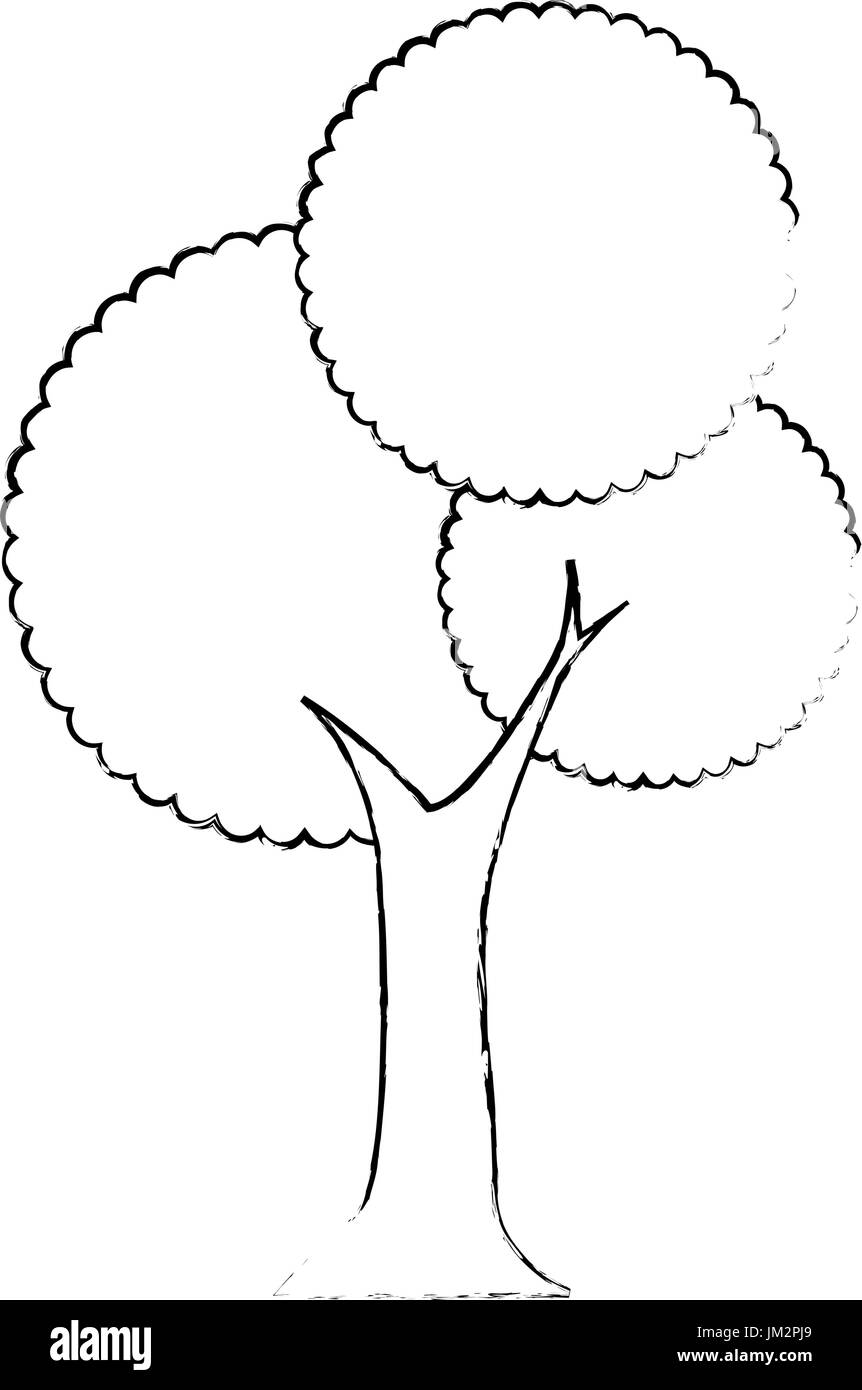 isolated nature big tree Stock Vector Image & Art - Alamy