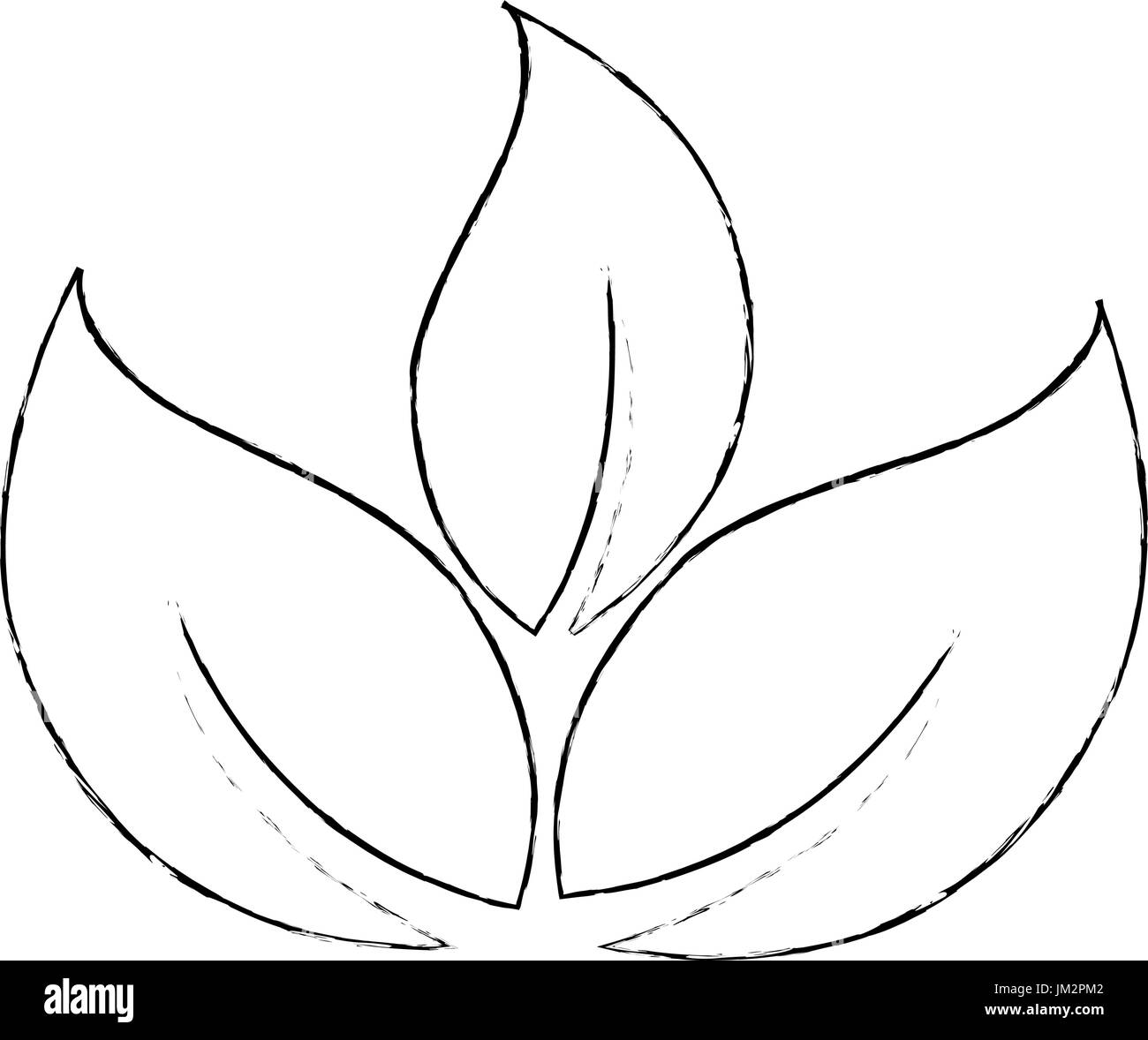 isolated three sheets trees Stock Vector Image & Art - Alamy