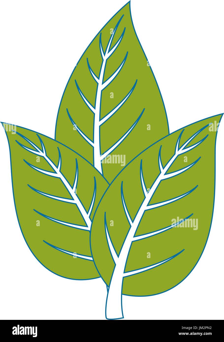 isolated three sheets trees Stock Vector Image & Art - Alamy