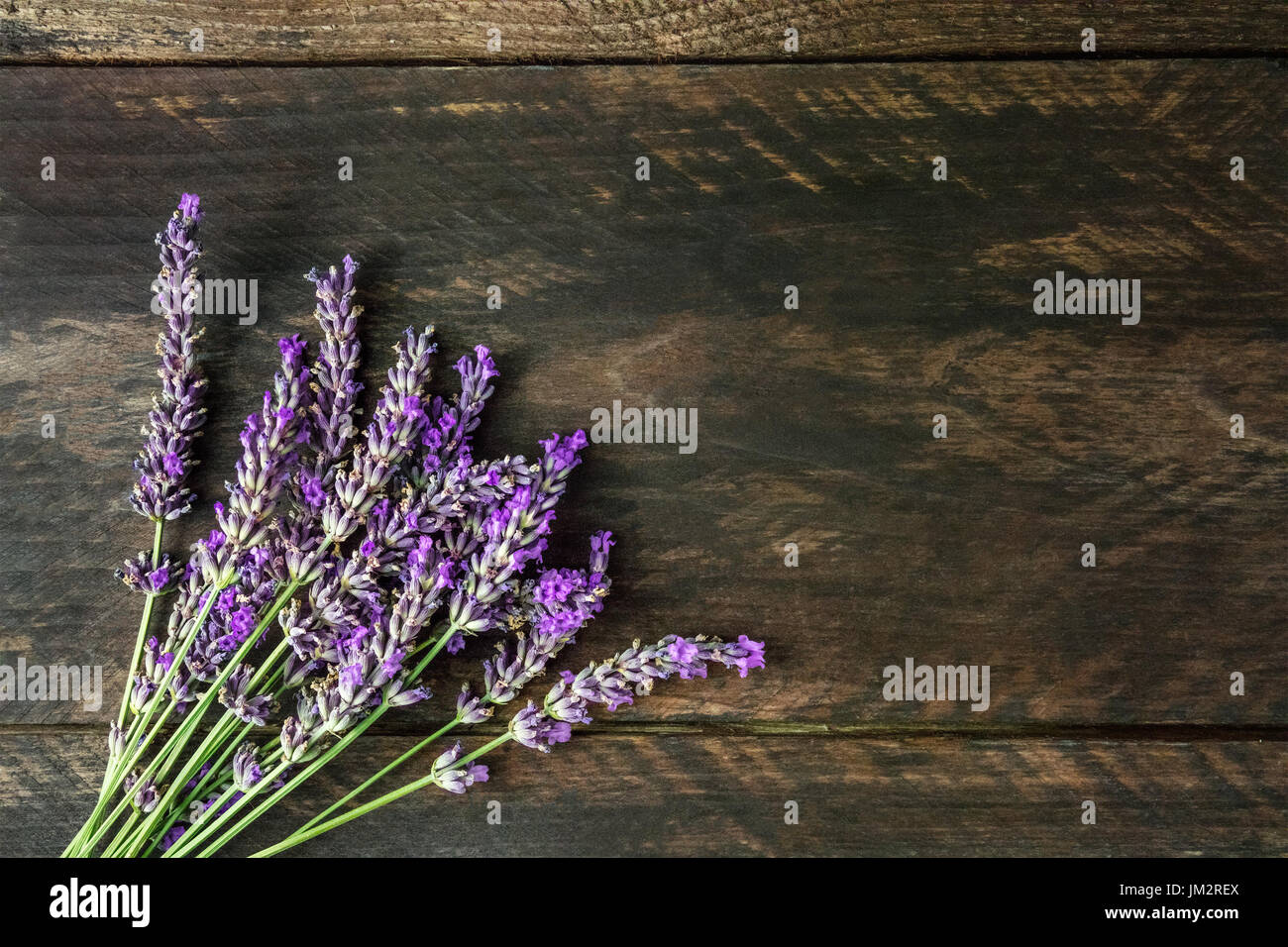 Overhead photo of lavender branches with copy space Stock Photo - Alamy