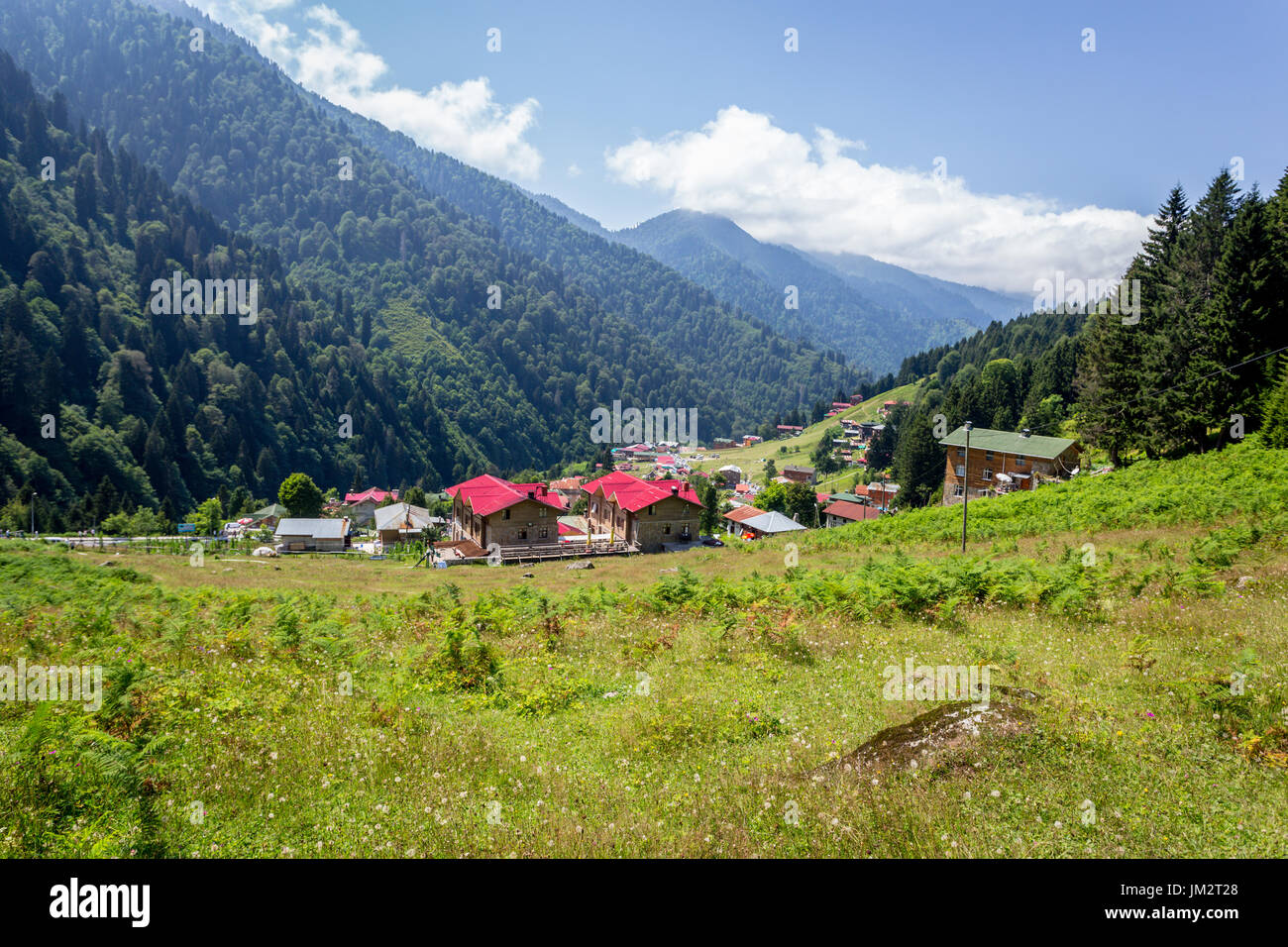 Ayder Plateau, Rize, Turkey.The Ayder Valley lies between Rize and ...