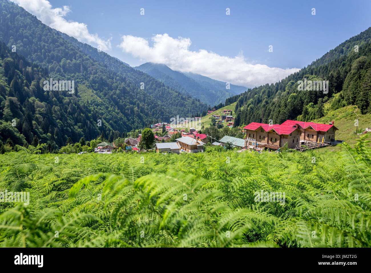 Ayder Plateau, Rize, Turkey.The Ayder Valley lies between Rize and ...