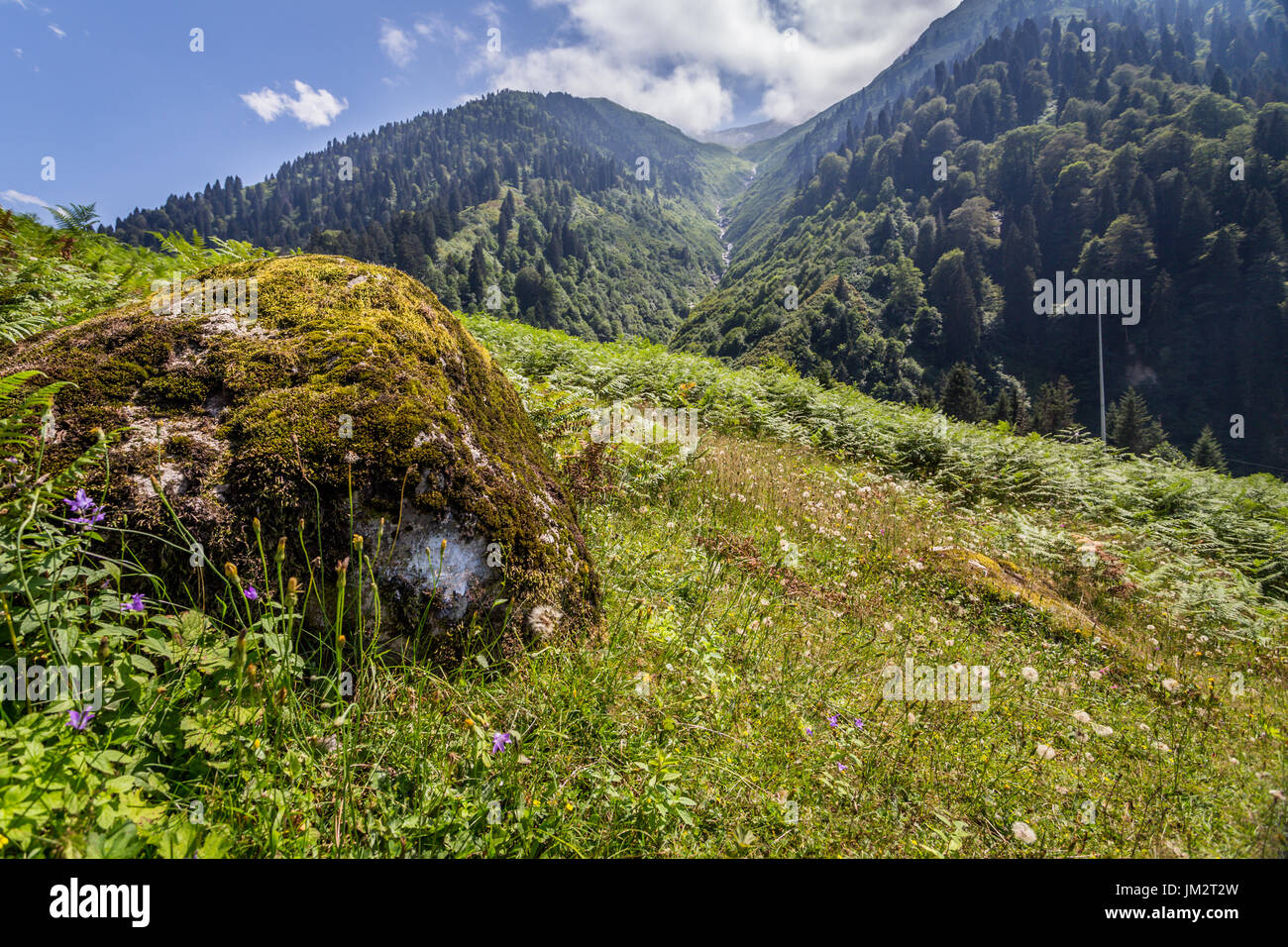 Ayder Plateau, Rize, Turkey.The Ayder Valley lies between Rize and ...