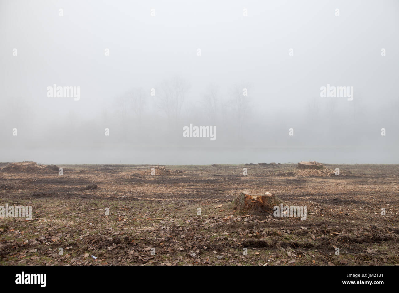 Tree spirits hi-res stock photography and images - Alamy
