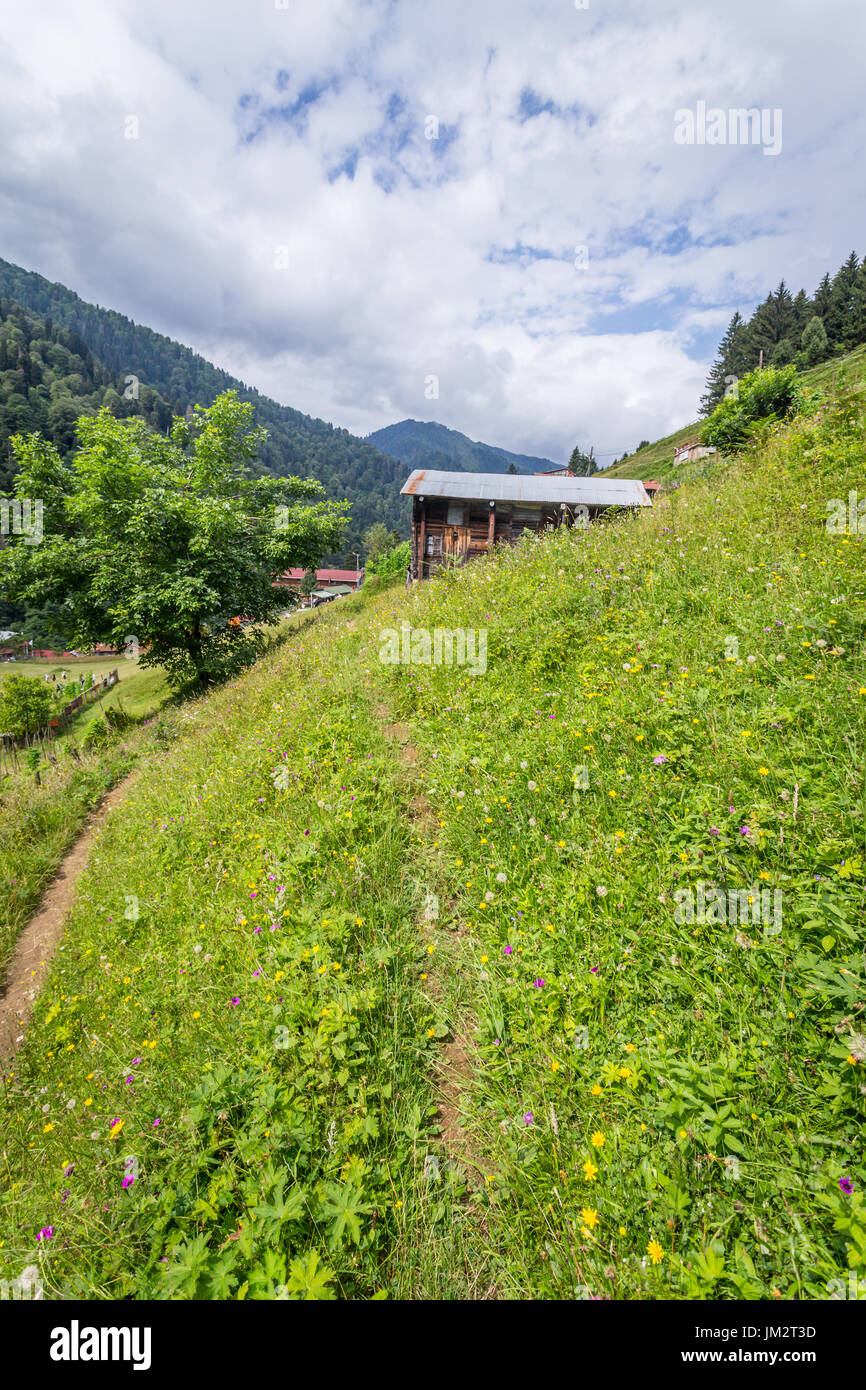 Ayder Plateau, Rize, Turkey.The Ayder Valley lies between Rize and ...
