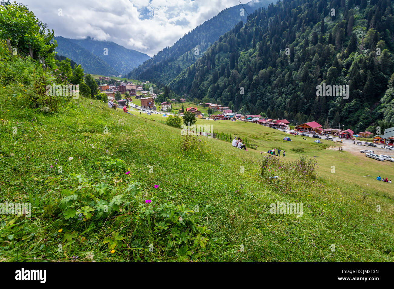 Rize turkey hi-res stock photography and images - Alamy