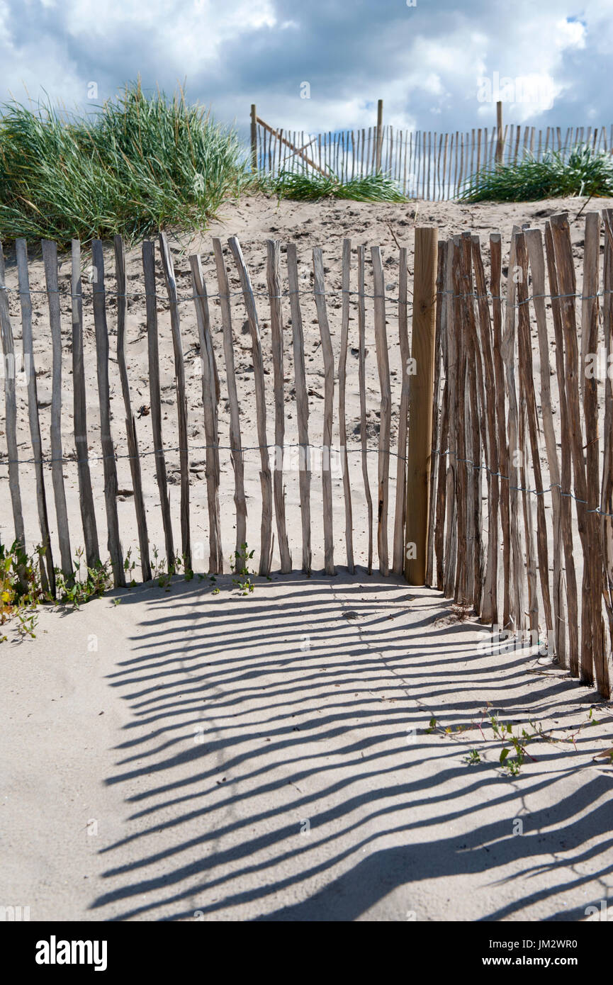 Wooden erosion fence on sand hi-res stock photography and images - Alamy