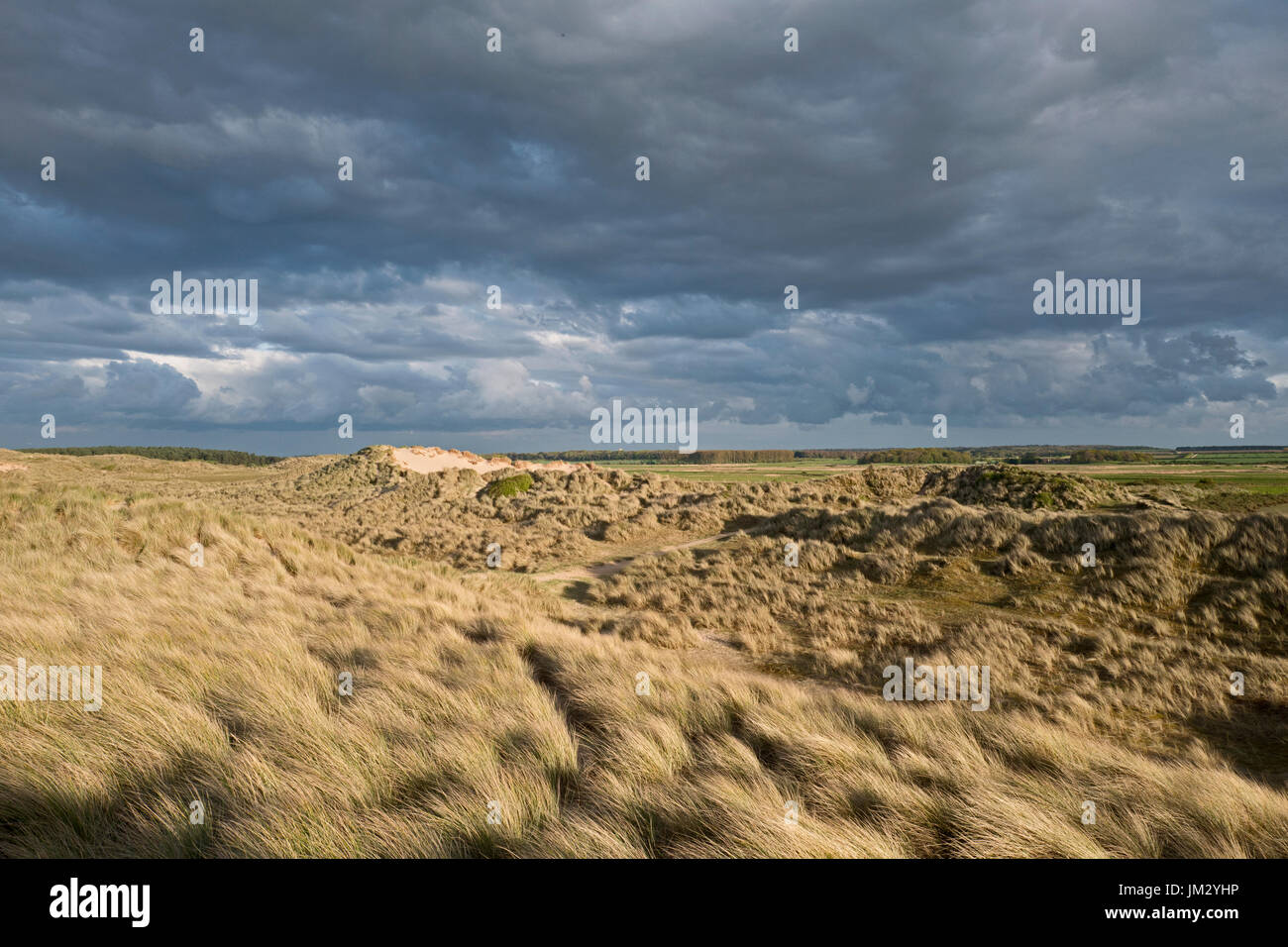 Sand dunes and beach, Holkham National Nature Reserve, North Norfolk ...