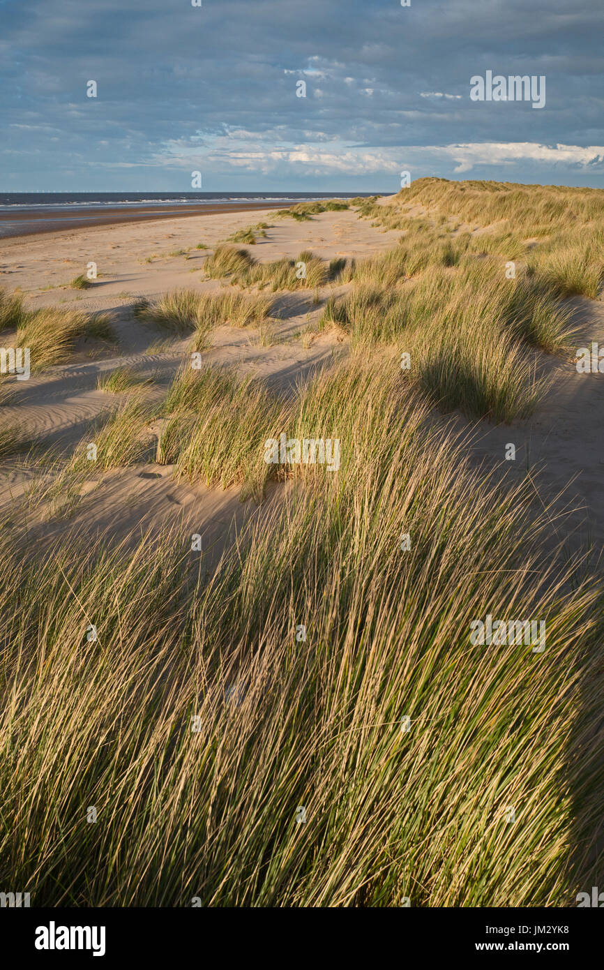Sand dunes and beach, Holkham National Nature Reserve, North Norfolk ...