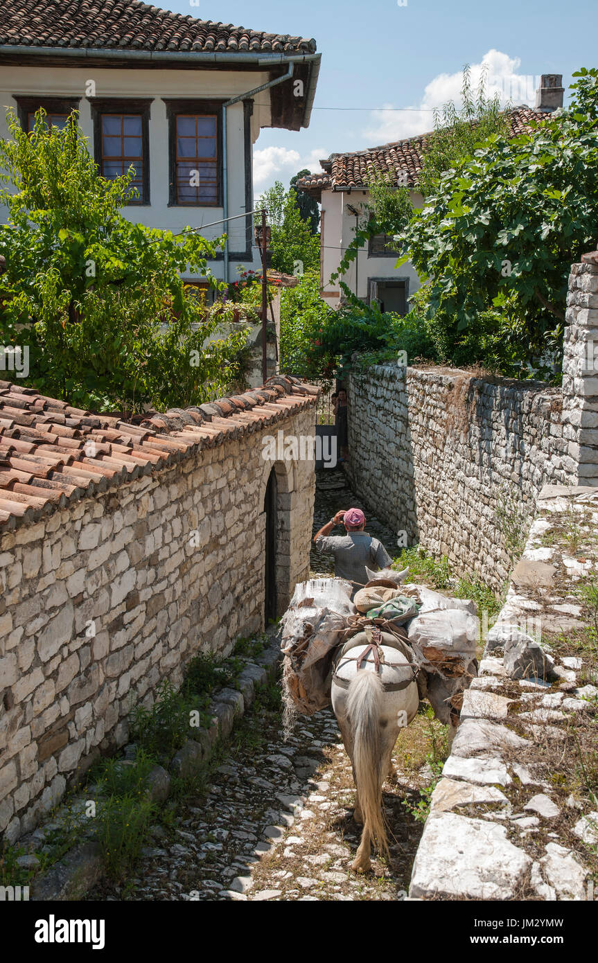 In the citadel with its ottoman period houses above the old town of ...
