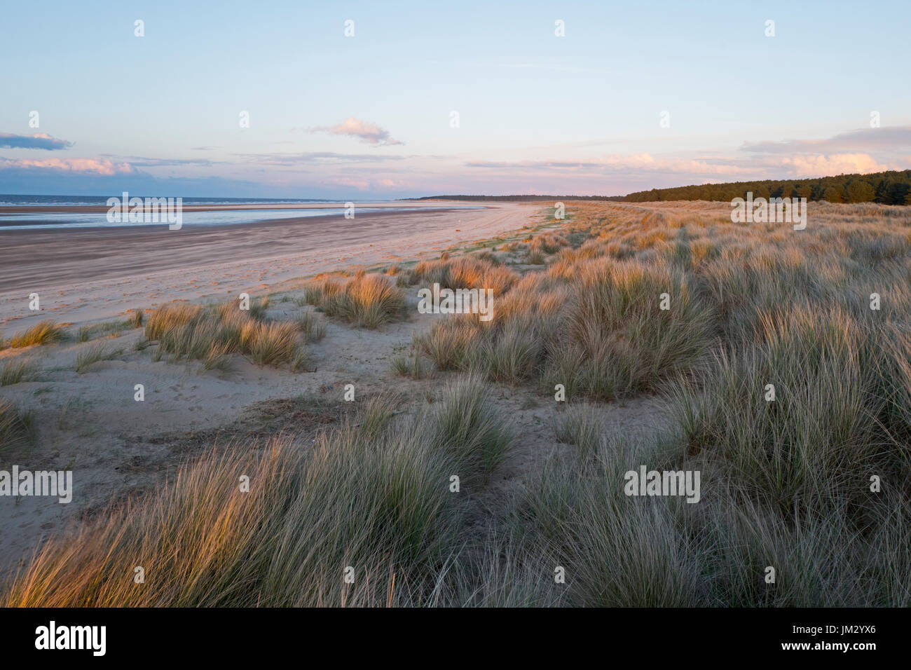 Sand dunes and beach, Holkham National Nature Reserve, North Norfolk ...