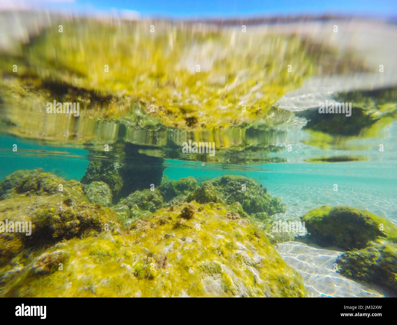 Colorful sea floor in Alghero Stock Photo - Alamy